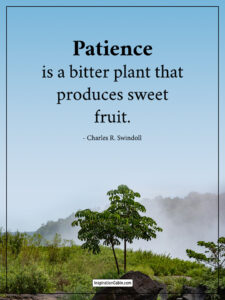 The Fruit Of Patience – Inspiration Cabin